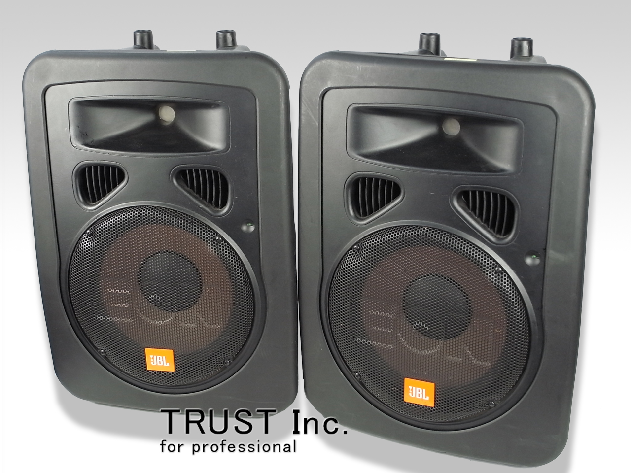 EON10 G2 / Powerd Speaker【中古放送用・業務用 映像機器・音響機器の店 - トラスト株式会社】